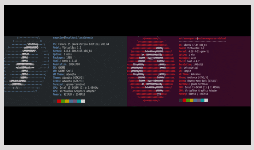 🏅 Fedora Vs Ubuntu ¿cuál Elegir Y Por Qué 2022