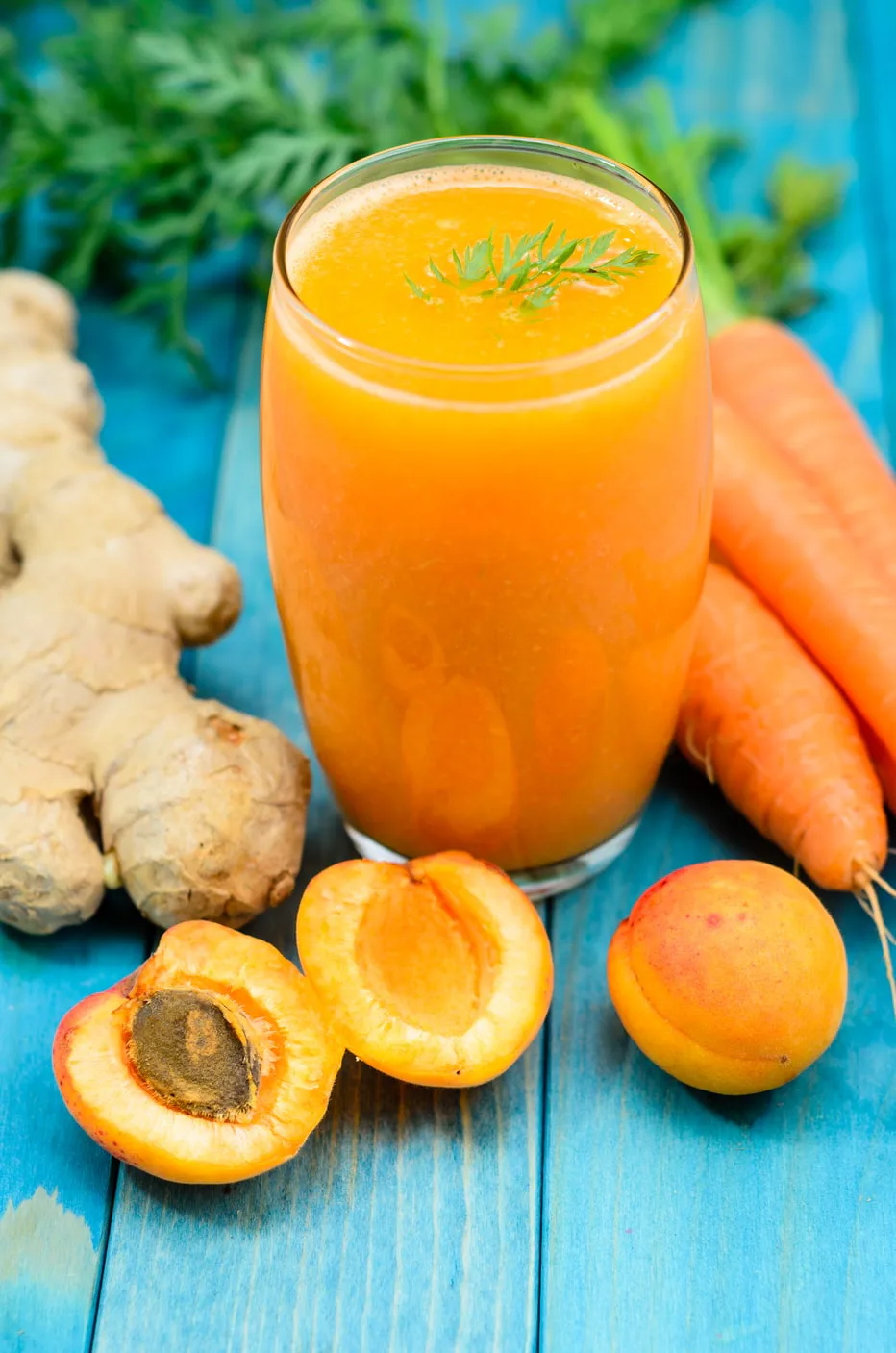 Guía práctica para la preparación de jugos de frutas 2021