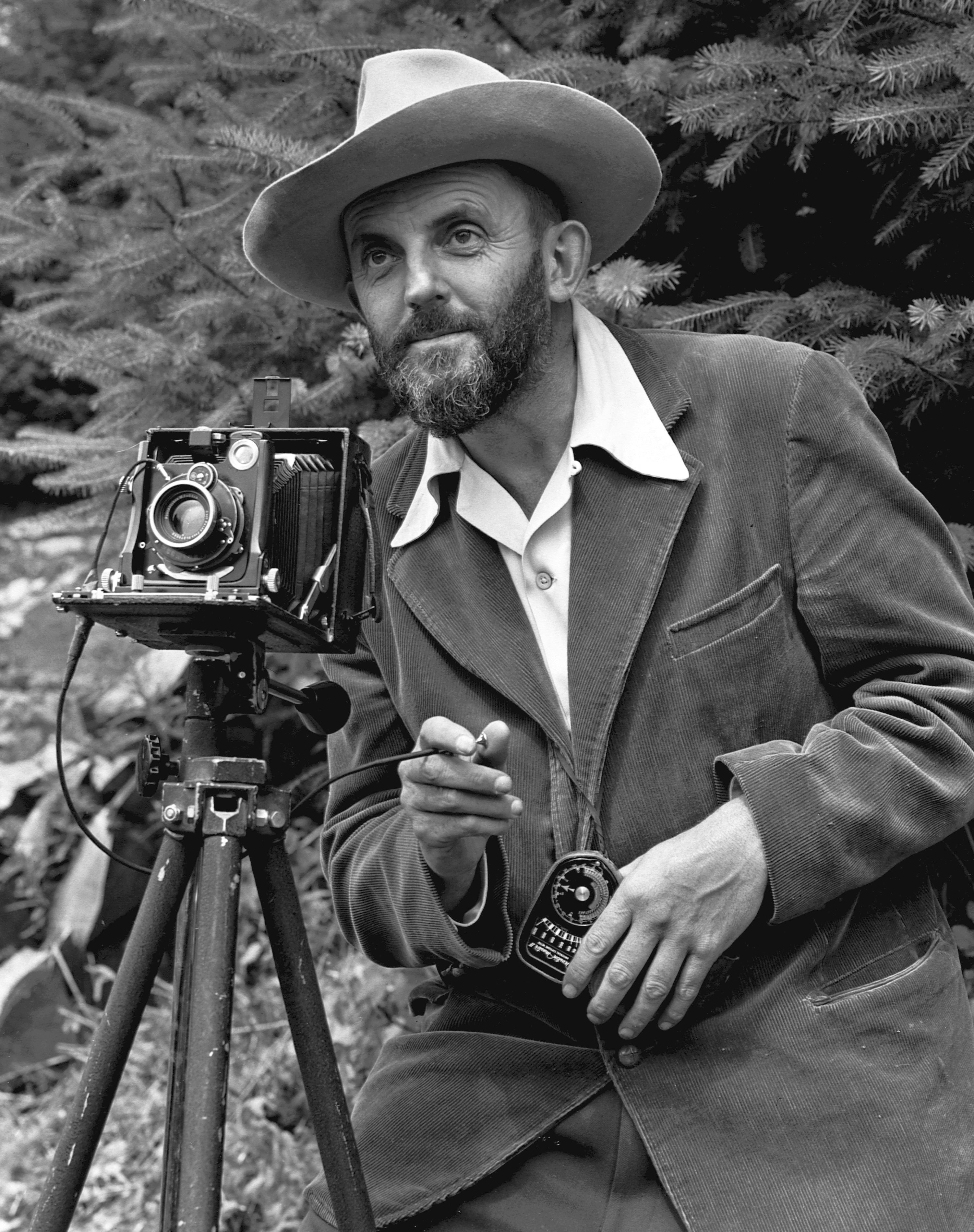 📸 Sistema de Zonas de Ansel Adams: qué es y cómo aplicarlo | Crehana ...