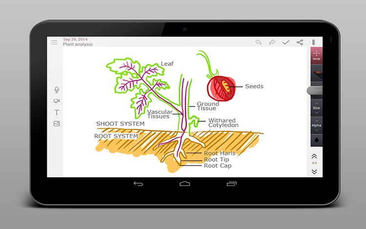 🤩🎨 Cómo hacer un resumen creativo paso a paso [2021] | Crehana para ...