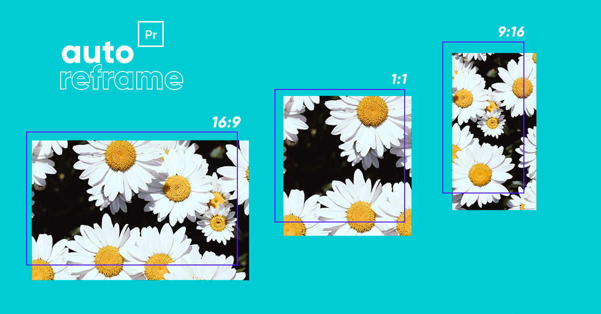 Auto Reframe: la herramienta que te ayudará con tus Insta Stories