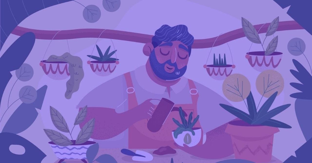 🌵 Tipos de tierra para plantas. Guía completa [2024]