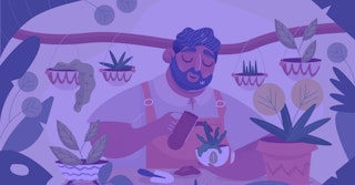 🌵 Tipos de tierra para plantas. Guía completa [2024]