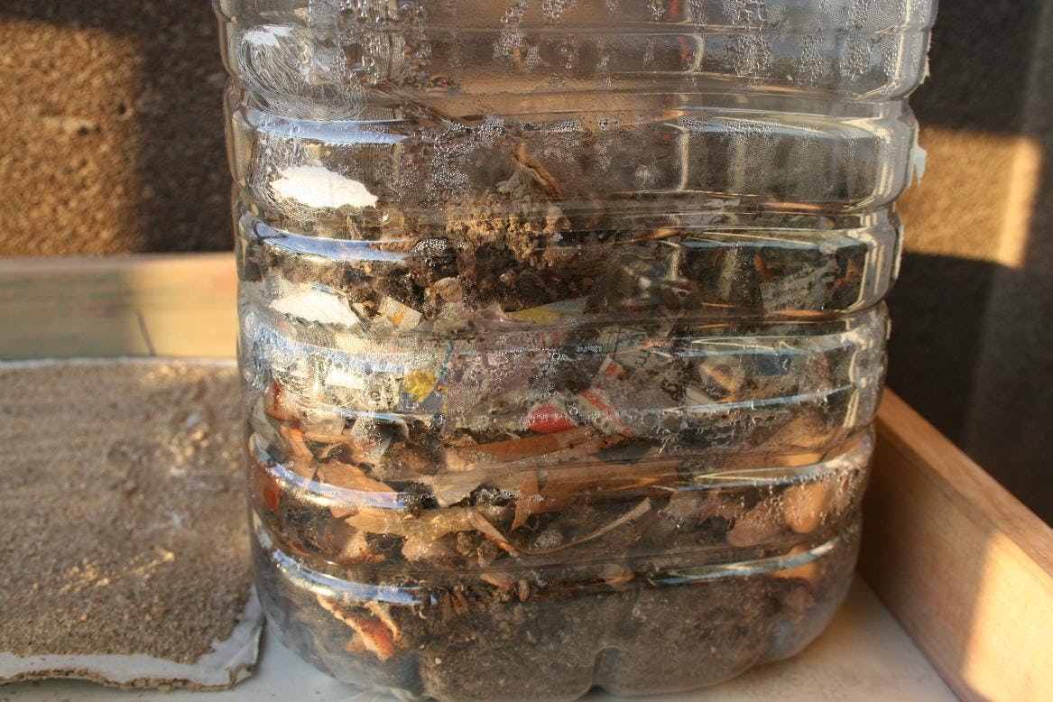 ¿Cómo hacer una composta casera? [2021] | Crehana para empresas