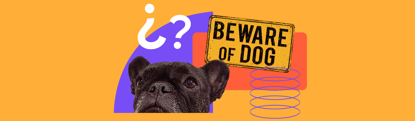 🐶 Descubre los síntomas de la rabia en perros | Crehana