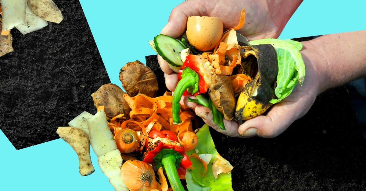 Como fazer uma compostagem caseira? | Crehana para empresas